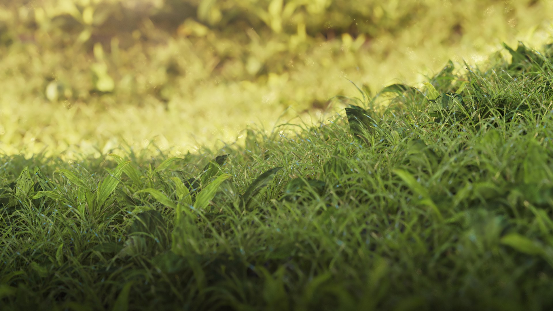 FlyingArchitecture Plants Kit set for V-Ray 3.6 | FlyingArchitecture