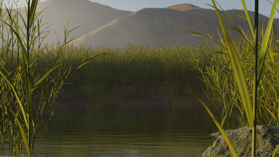 Water reed | FlyingArchitecture