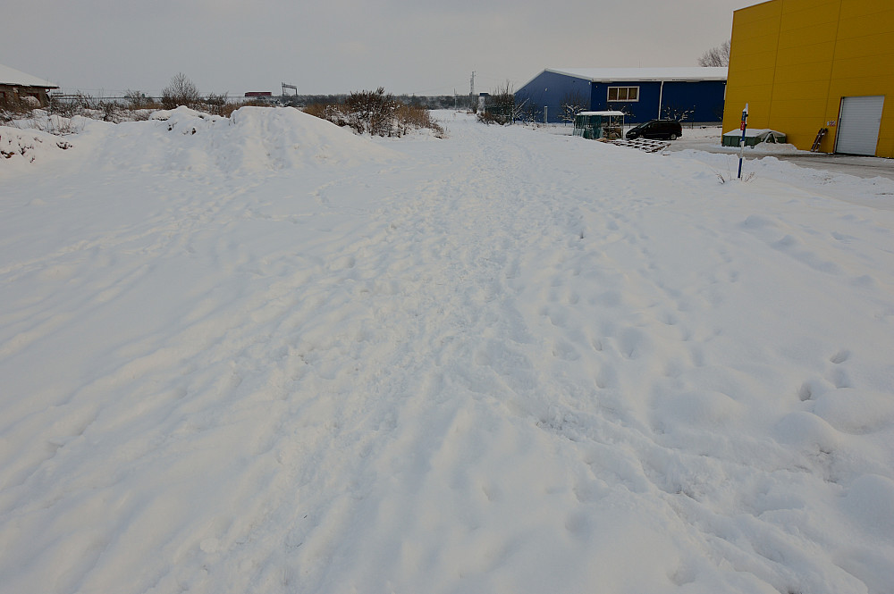 Photo #1233 with ground, direct-sunlight, eye-level, winter, path, snow ...