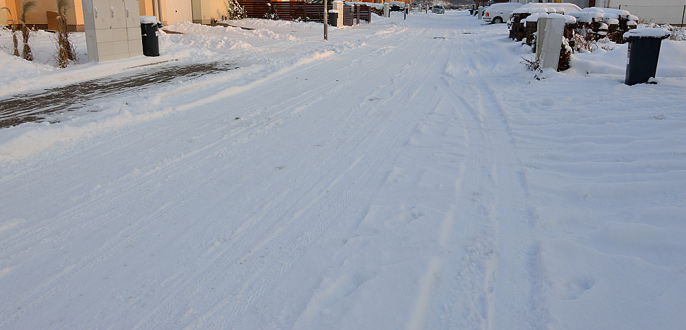 Photo #1380 with ground, ambient-light, direct-sunlight, eye-level ...