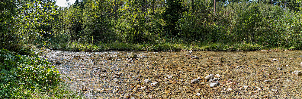 Photo #1462 with ground, panorama, direct-sunlight, eye-level, summer ...