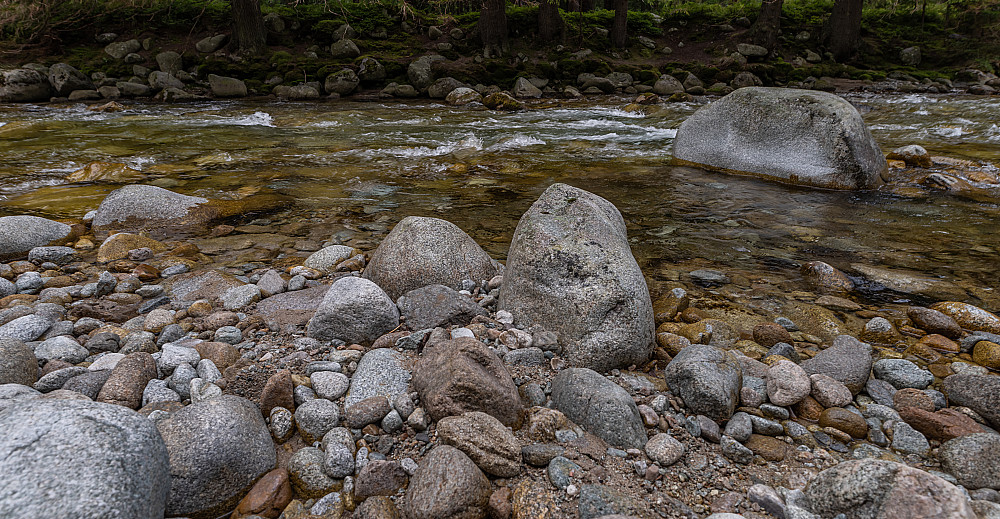 Photo #1592 with ground, ambient-light, eye-level, low-level, summer ...