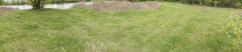 Photo #1606 with ground, panorama, ambient-light, eye-level, summer ...