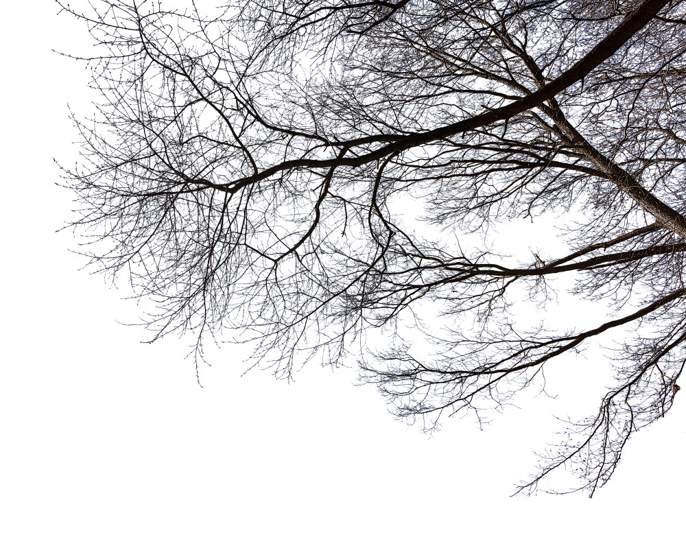 Photo #2121 with nature, masked, corner-position, direct-sunlight ...