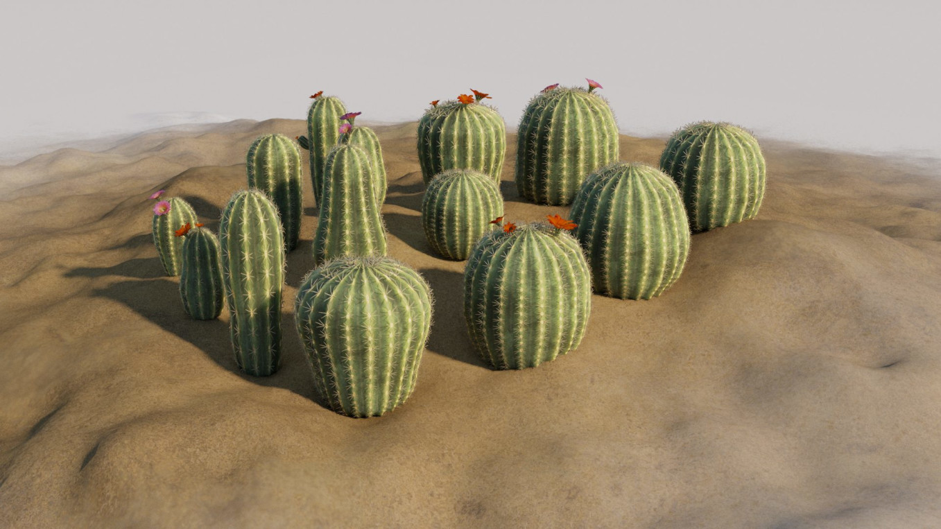 Small cactus models | FlyingArchitecture