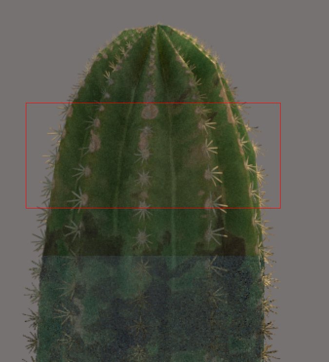 The Saguaro house - Making-of | FlyingArchitecture