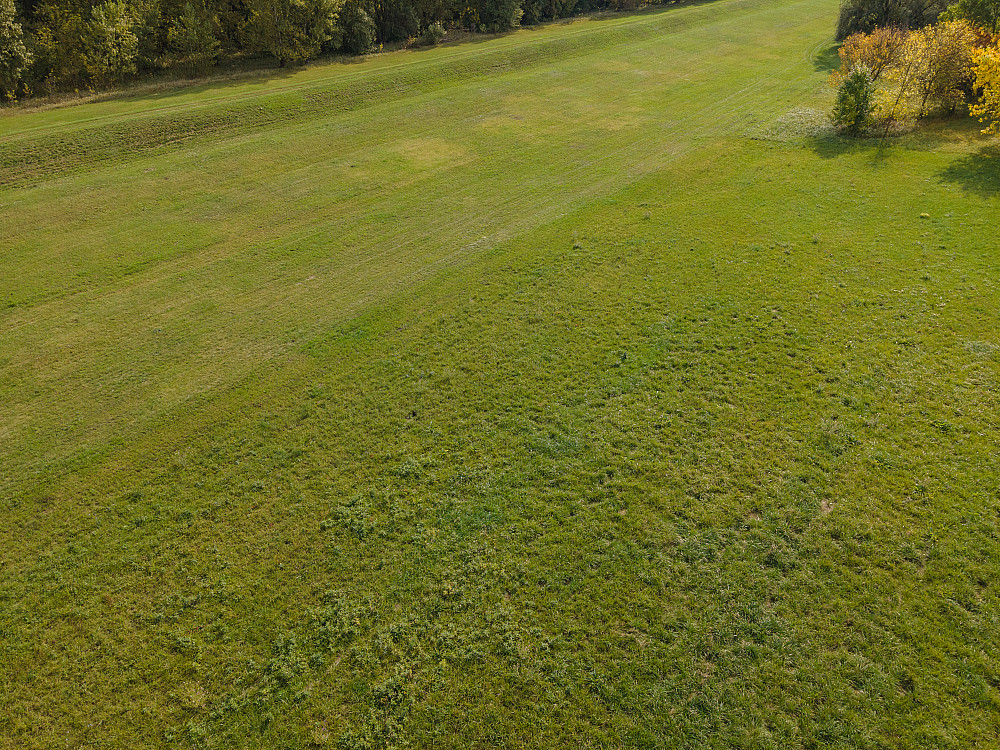 Photo #2452 with ground, direct-sunlight, aerial, high-level, autumn ...