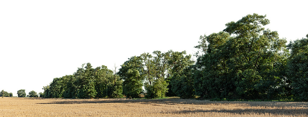 Photo #2546 with backplate, masked, direct-sunlight, eye-level, summer ...