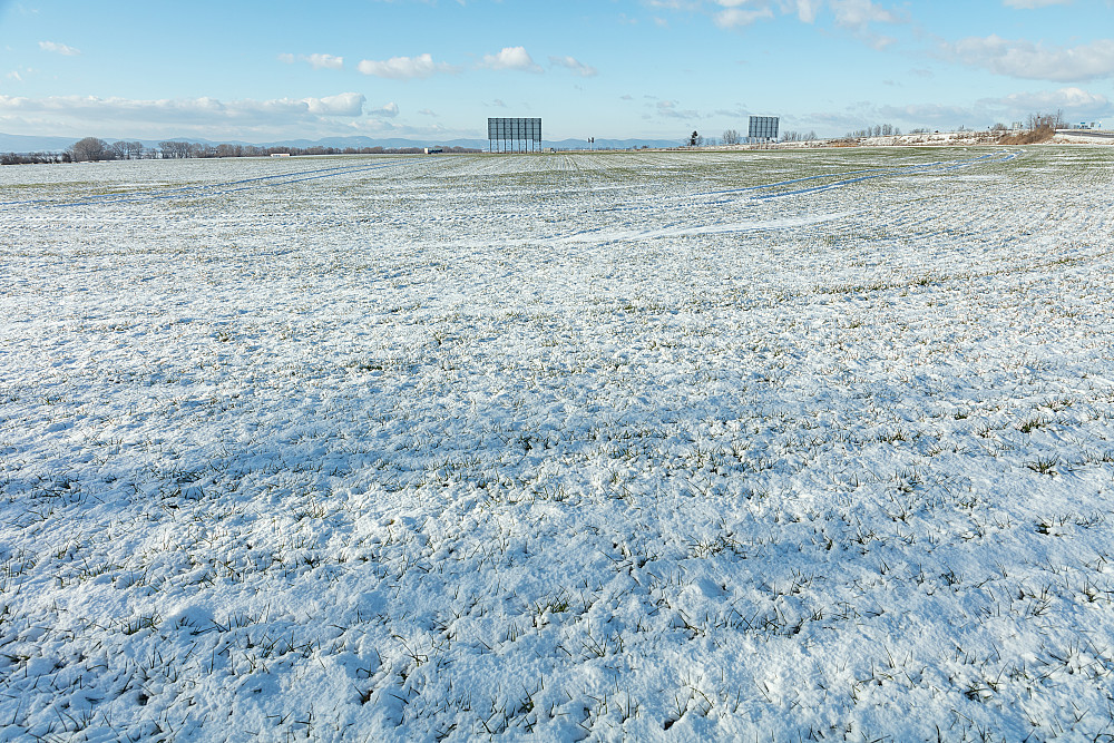 Photo #2680 with ground, direct-sunlight, partial-light, eye-level ...