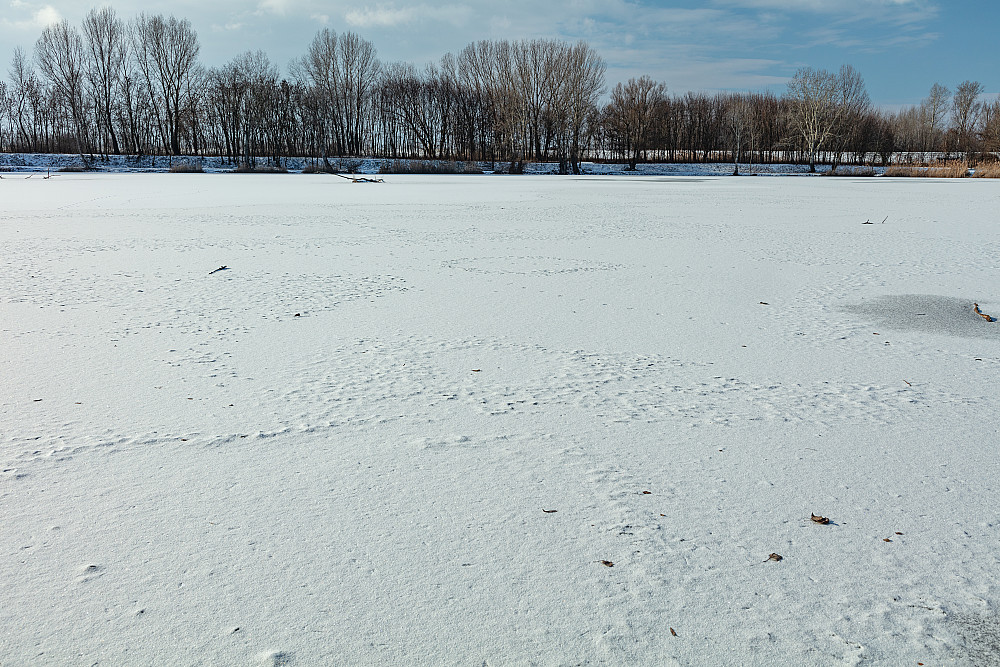 Photo #2716 with ground, direct-sunlight, eye-level, winter, snow, ice ...