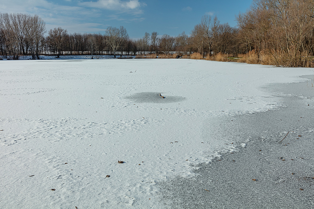 Photo #2717 with ground, direct-sunlight, eye-level, winter, snow, ice ...