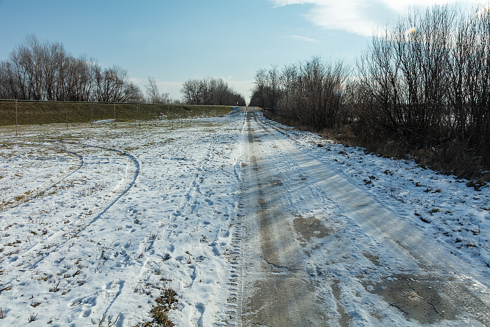 Photo #2730 with ground, direct-sunlight, partial-light, eye-level ...