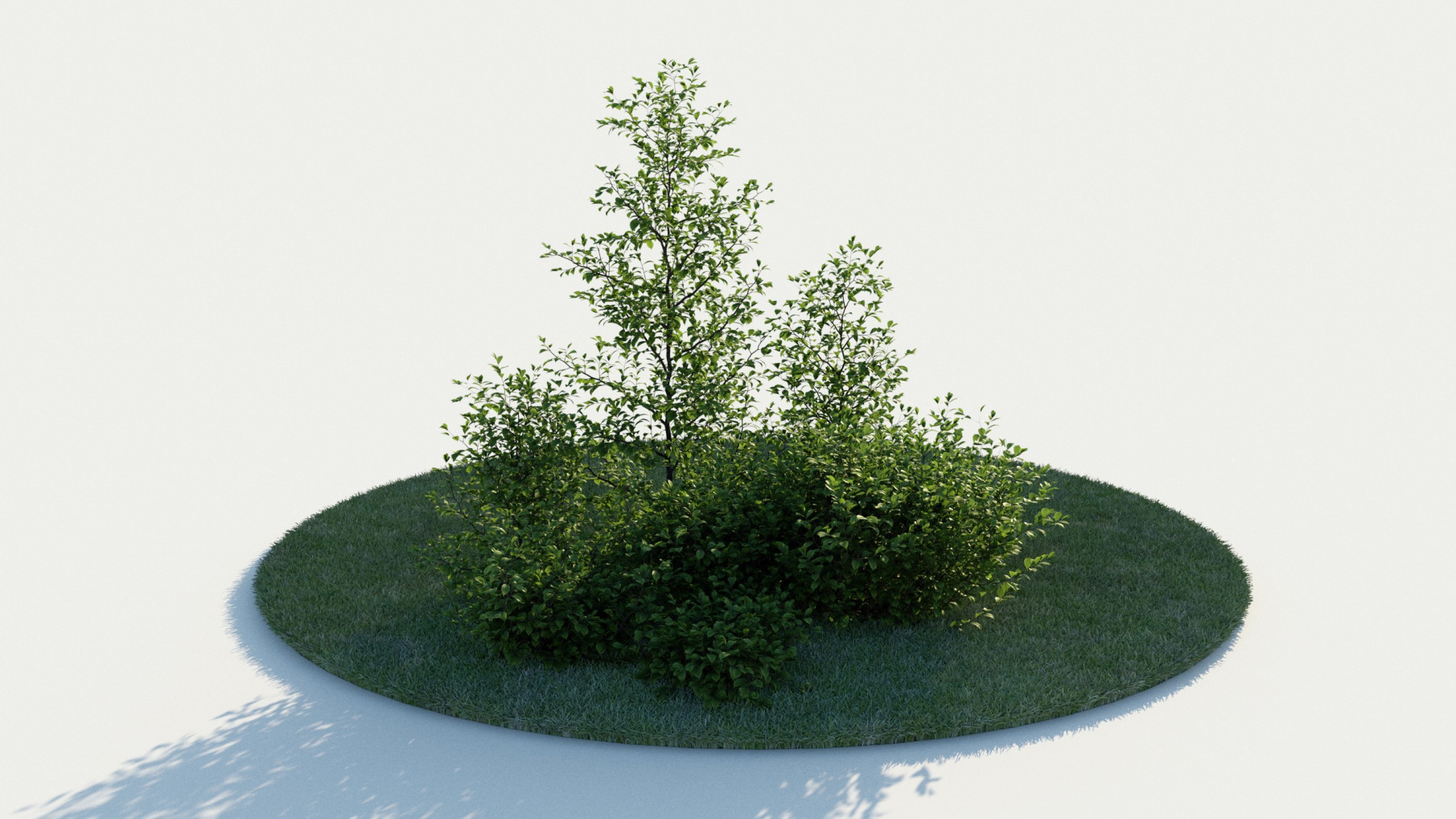 Generic bushes and low trees | FlyingArchitecture