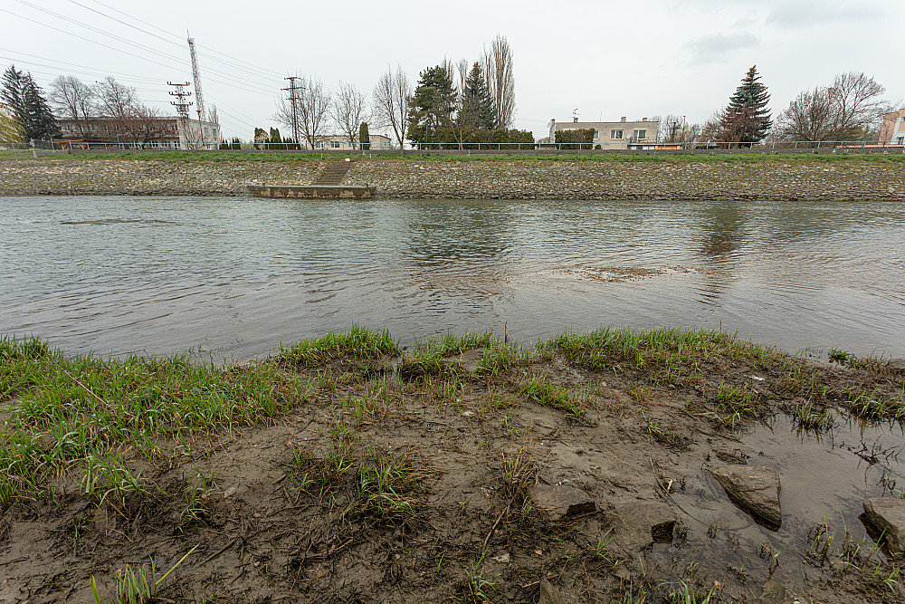 Photo #2764 with ground, ambient-light, eye-level, summer, stream, mud ...