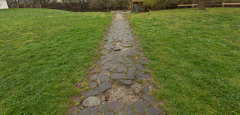 Photo #2787 with ground, ambient-light, eye-level, spring, low-grass ...