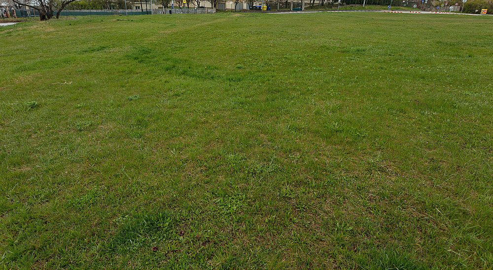 Photo #2863 with ground, ambient-light, eye-level, spring, summer, lawn ...