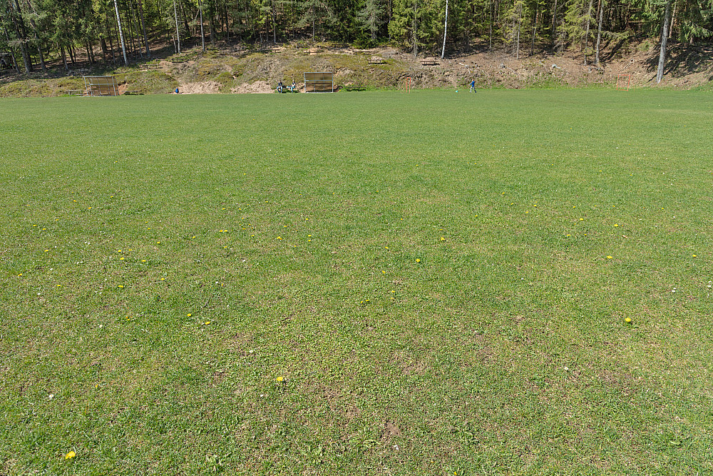 Photo #2919 with ground, direct-sunlight, eye-level, summer, lawn, low ...