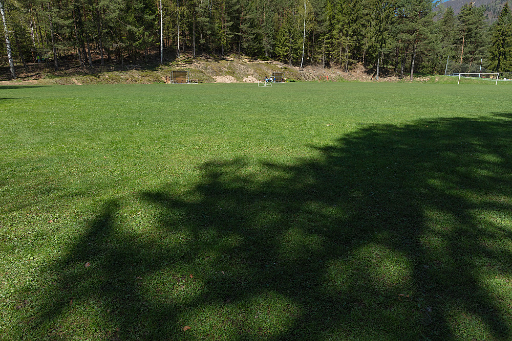 Photo #2925 with ground, partial-light, eye-level, summer, lawn, low ...