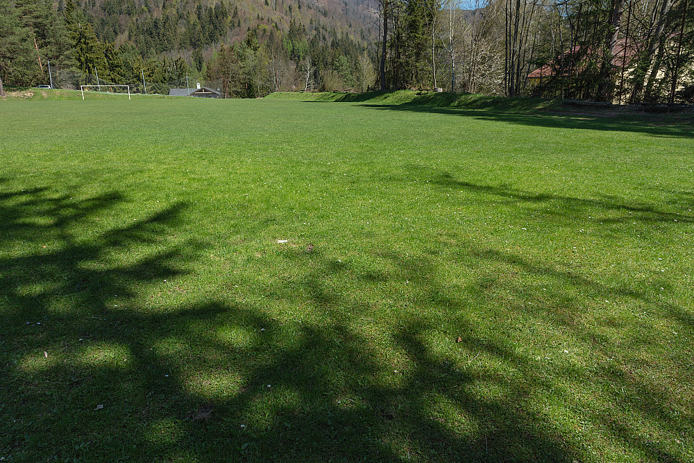 Photo #2928 with ground, partial-light, eye-level, summer, lawn, low ...