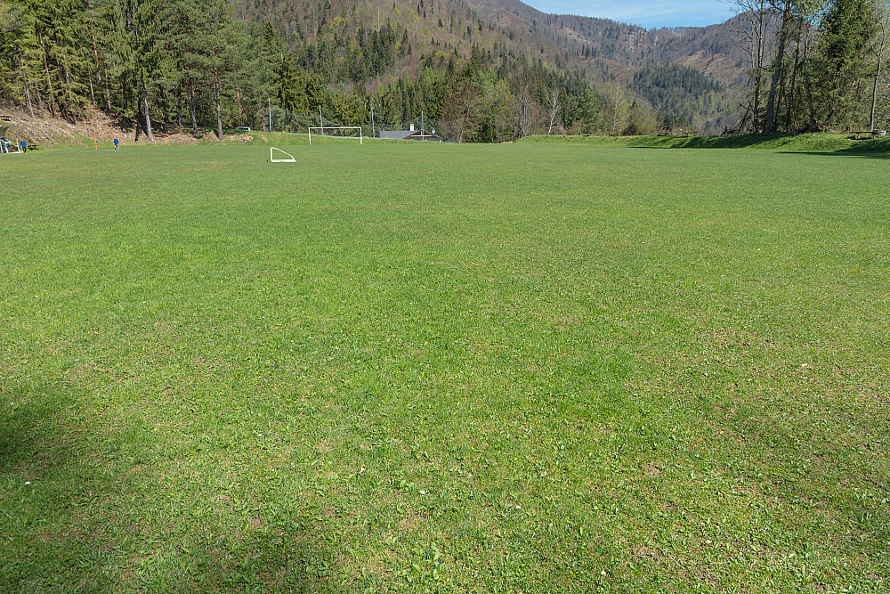 Photo #2930 with ground, direct-sunlight, eye-level, summer, lawn, low ...