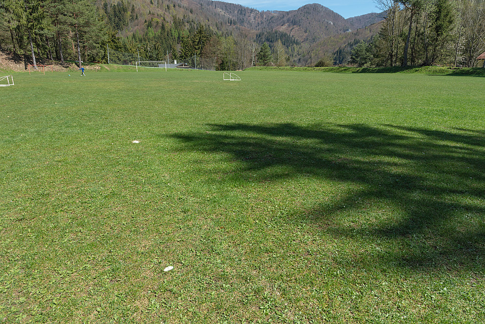 Photo #2932 with ground, direct-sunlight, partial-light, eye-level ...