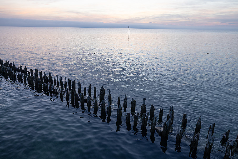 Photo #3539 with ground, ambient-light, eye-level, autumn, spring ...