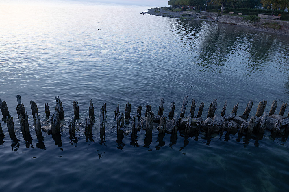 Photo #3542 with ground, ambient-light, eye-level, autumn, spring ...