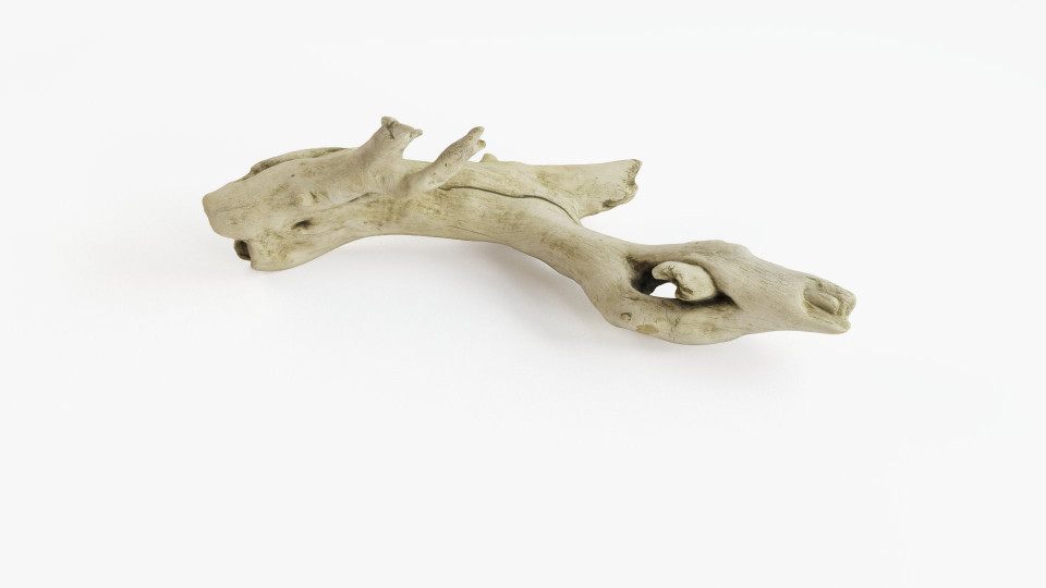 Old scanned branch | FlyingArchitecture